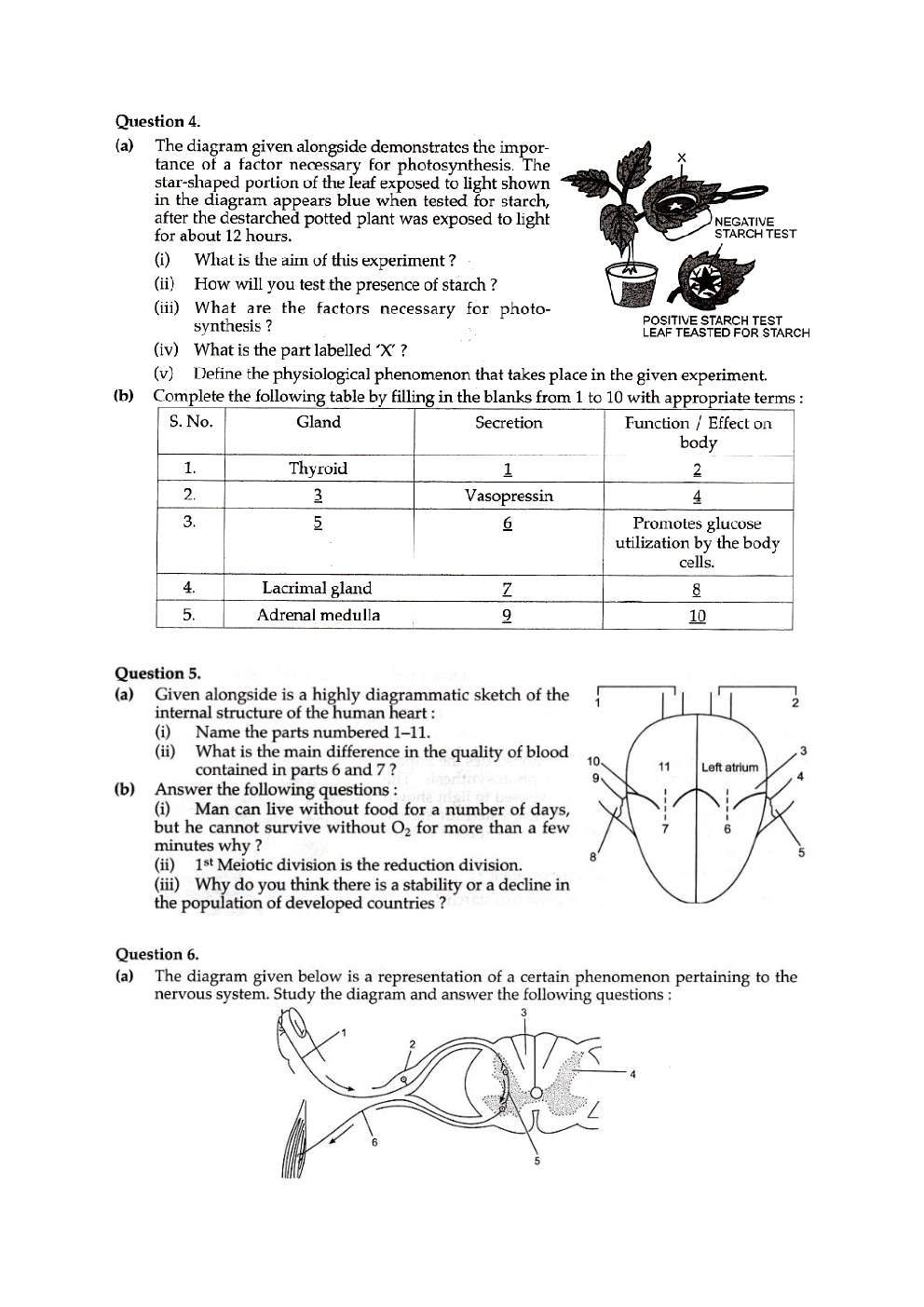 Icse Class Biology Sample Paper Science Paper Sample Paper SexiezPix Icse Class Biology Sample Paper Science Paper Sample Paper SexiezPix