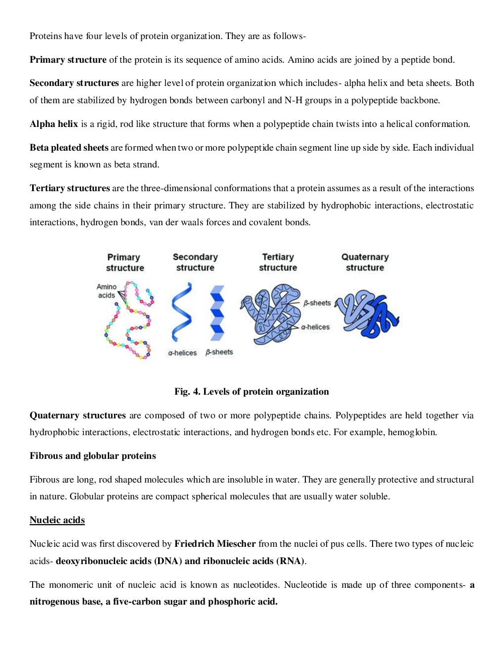 Download Cbse Class 11 Biology Revision Notes For Morphology Of Gambaran