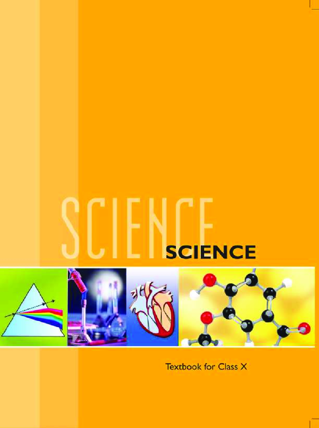 10th Class Ncert Hindi Book Sanchayan Solutions For Build Your Own