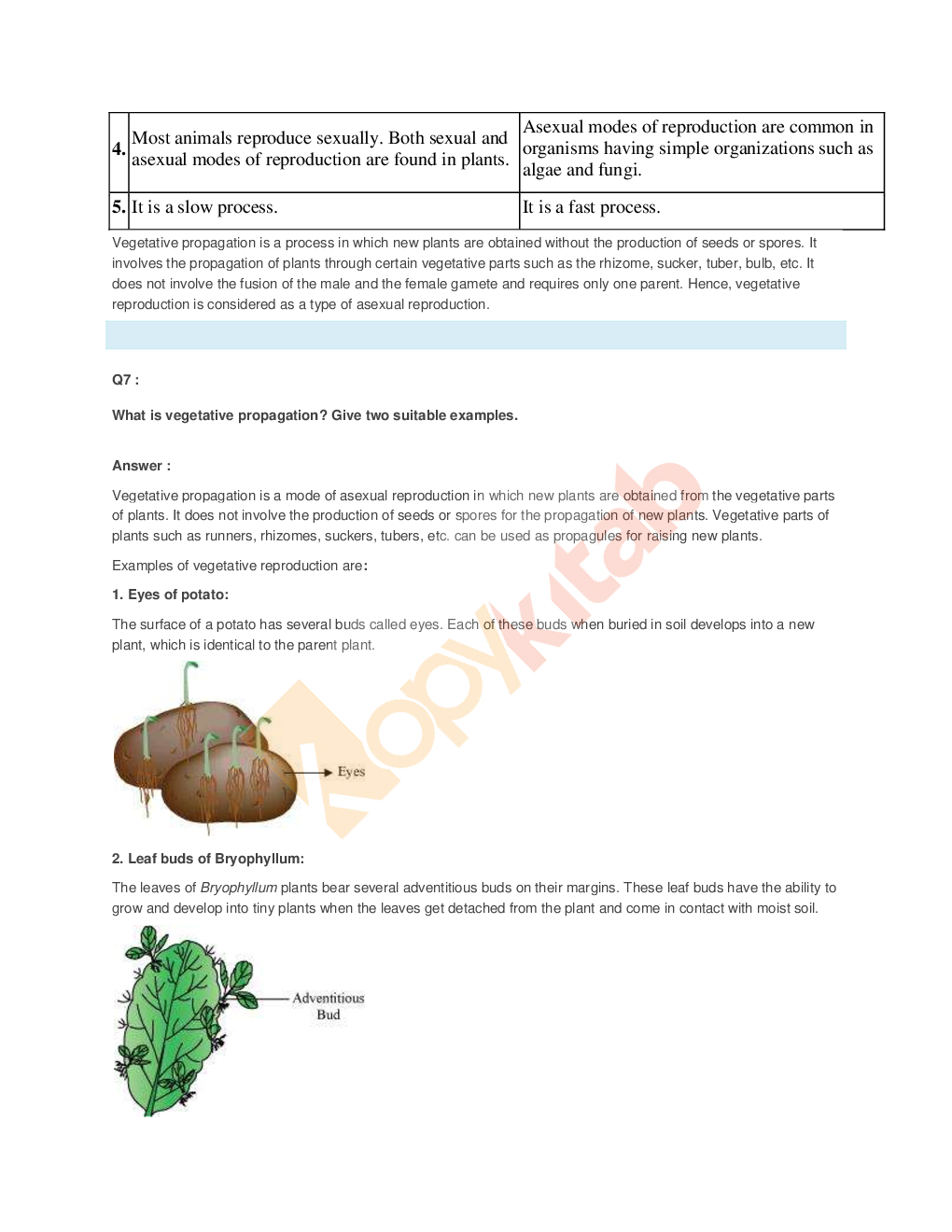 Download NCERT Solutions For Class 12 Biology PDF Online