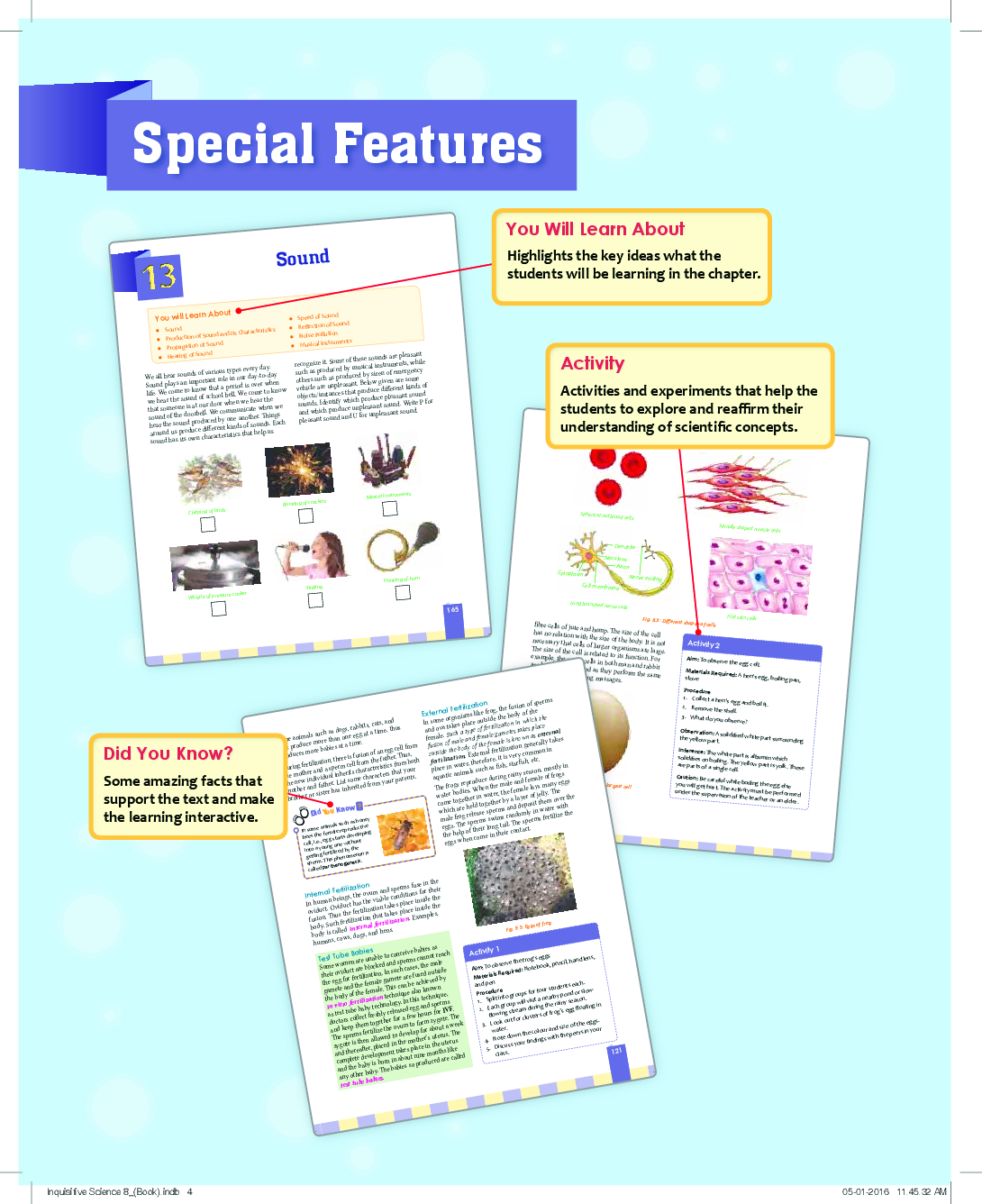 Download New Inquisitive Science Book 8 by Kiran Ashok Kumar PDF Online