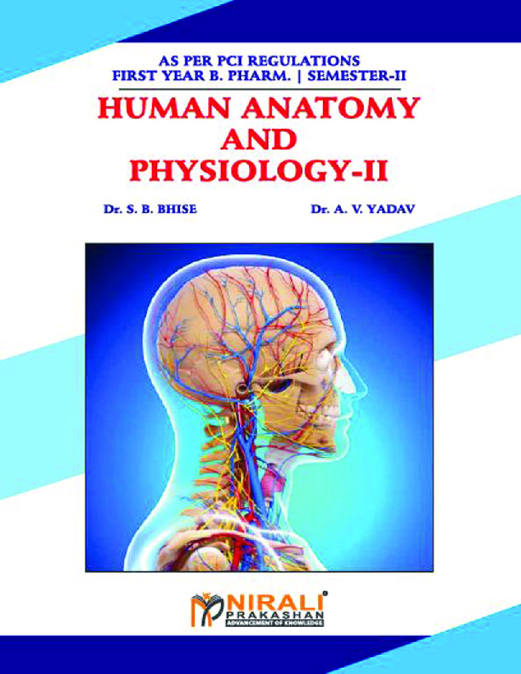 Anatomy Physiology Illustration AB7